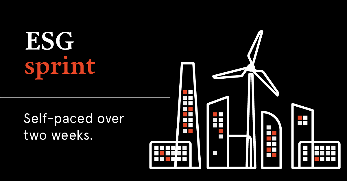 Our sprints | Sydney Executive Plus